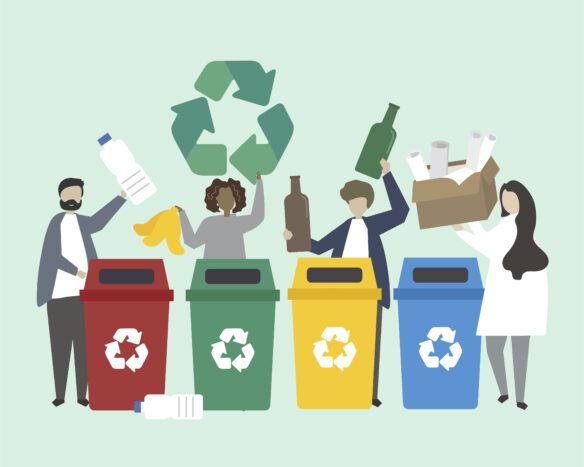FSC para un packaging super sostenible - Selfpackaging Blog